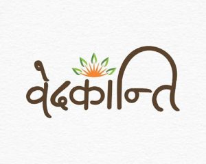 Creative Hindi Logo Design | Desi Logo For Indian Business