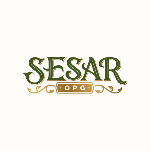 Professional Logo Design - Helps to Elevate Your Brand Recognition