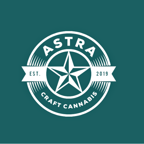 Professional Logo Design - Helps to Elevate Your Brand Recognition